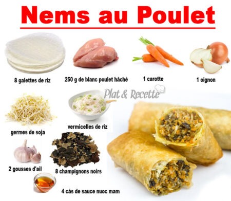 Nems au Poulet - Plat et Recette
